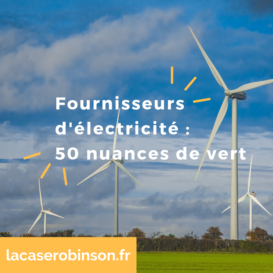 Fournisseurs d'électricité : 50 nuances de vert - La Case Robinson