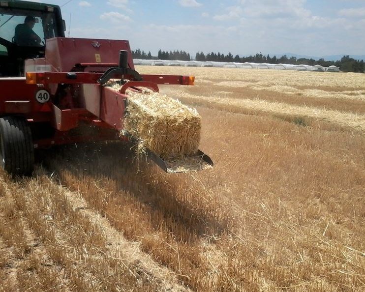 Construire en paille : l'avenir en commun ! - La Case Robinson